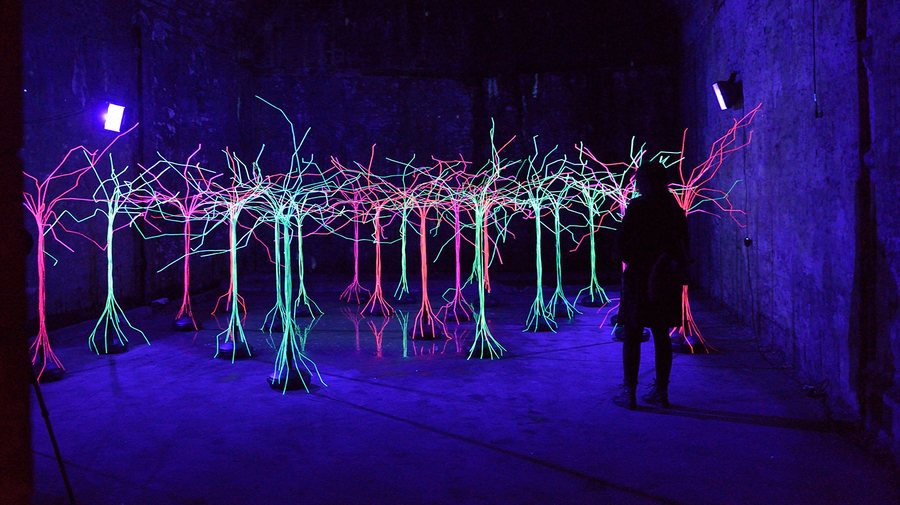 David Ogle | Showcase | The Skinny