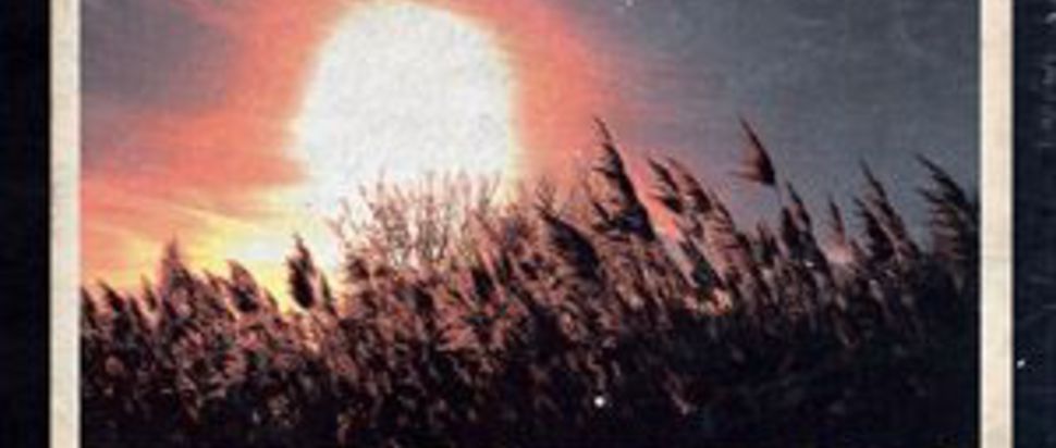 Howling Bells – Heartstrings | Album Review | The Skinny