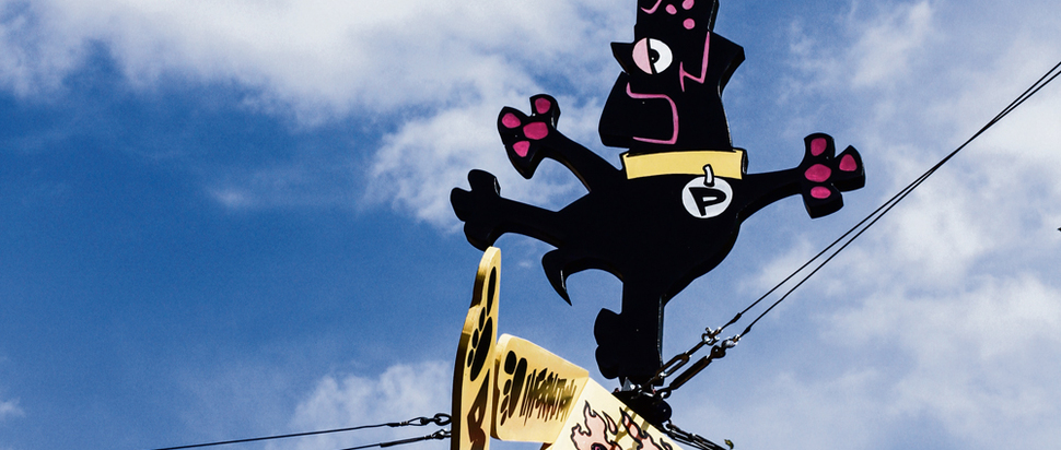 Pleasance at 30: Anthony Alderson | The Skinny