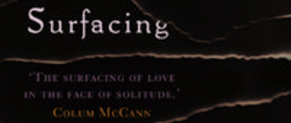 The Surfacing by Cormac James | Book Review | The Skinny