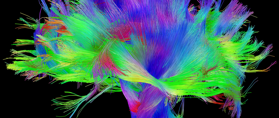 Digital Distress - Technology & mental health - Art - The Skinny