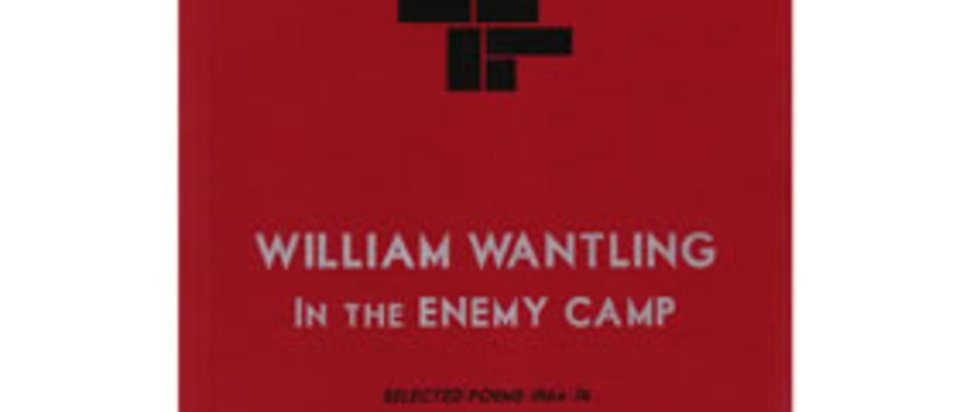 In the Enemy Camp by William Wantling - Book review - The Skinny