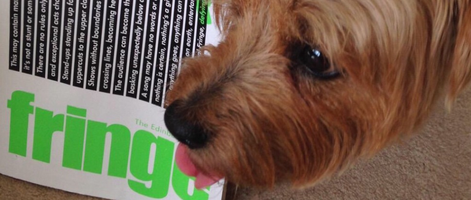 Fringe Dog's five-star Festival: Edinburgh comedy - The Skinny