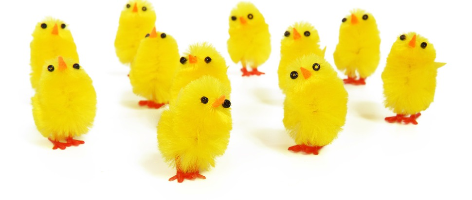 What's on in Manchester - Easter bank holiday events - The Skinny