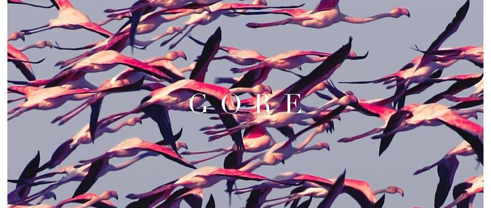 Deftones: Gore – Album review