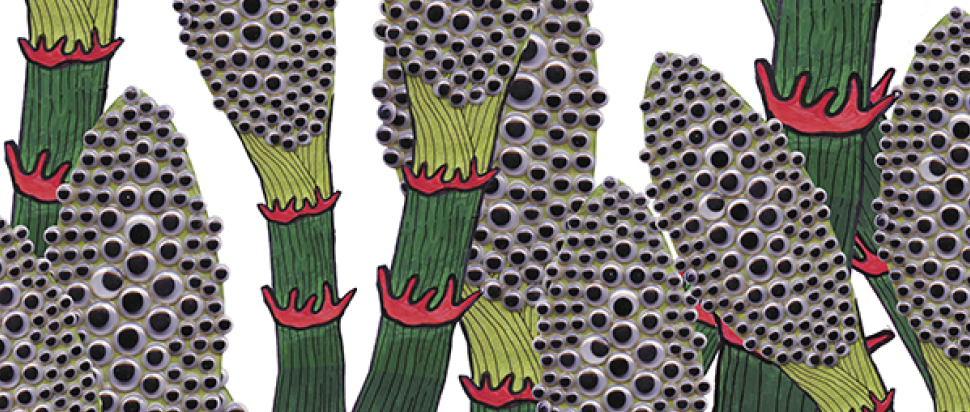 Part Chimp Iv Album Review The Skinny
