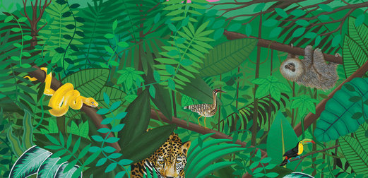 Turnover Band Albums