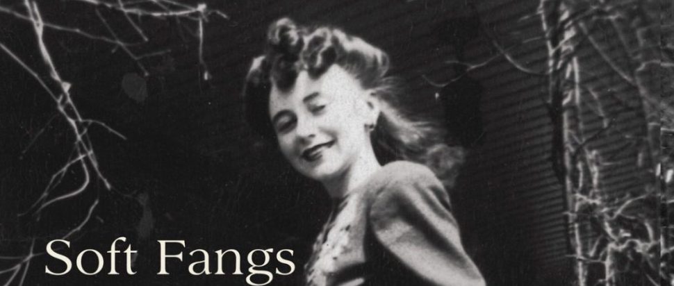 Soft Fangs – Fractures: album review - The Skinny