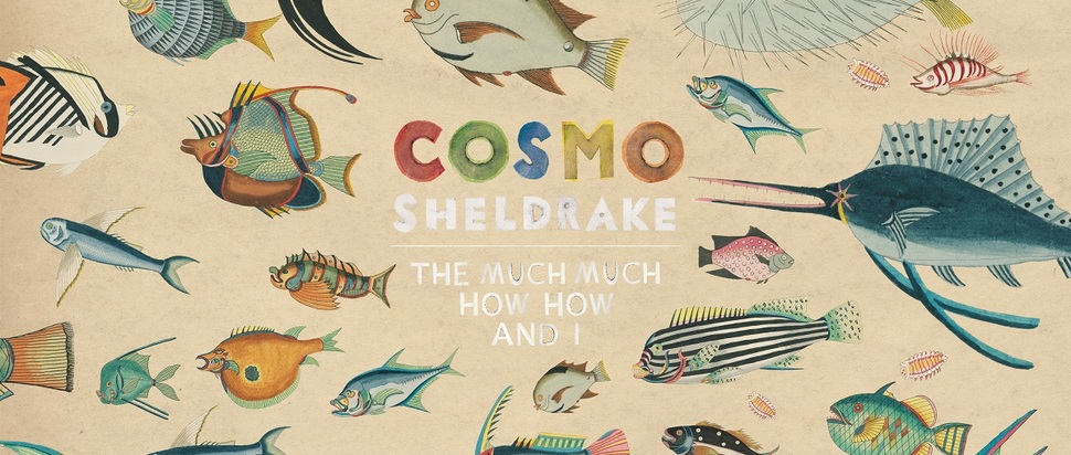 Cosmo Sheldrake album review: The Much Much How How and I - The Skinny