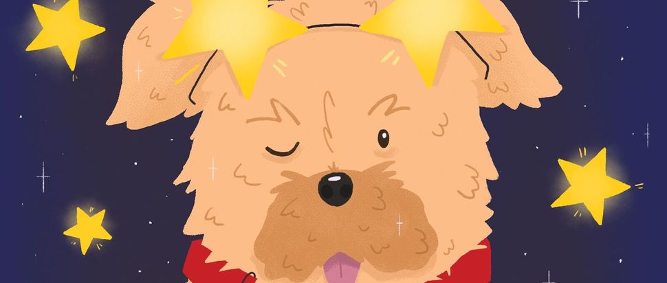 Fringe 2018: What the Star Ratings Mean - The Skinny