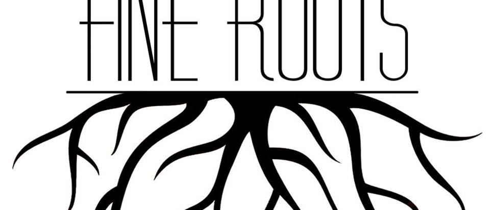 Fine Roots Gallery - Art Galleries in Edinburgh - The Skinny