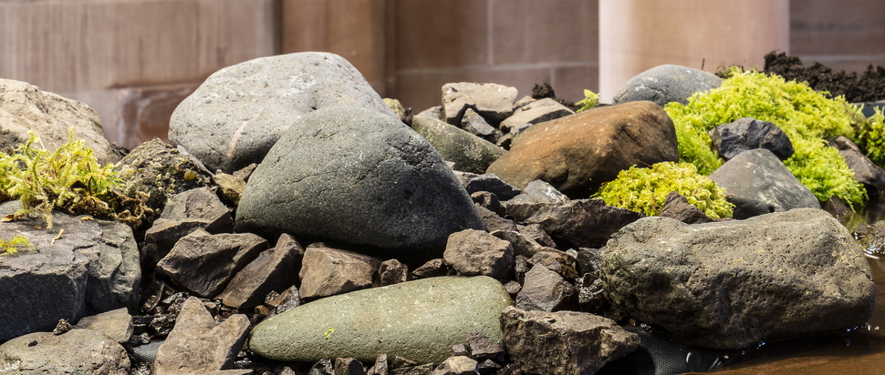 Abbas Akhavan: Study for a Garden