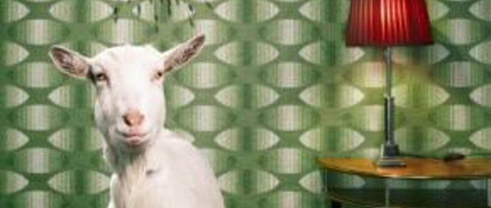 The Goat: modern theatre and bestiality - Preview - The Skinny