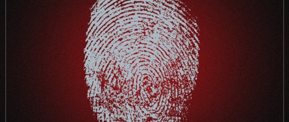 The Magic Numbers – The Runaway | The Skinny