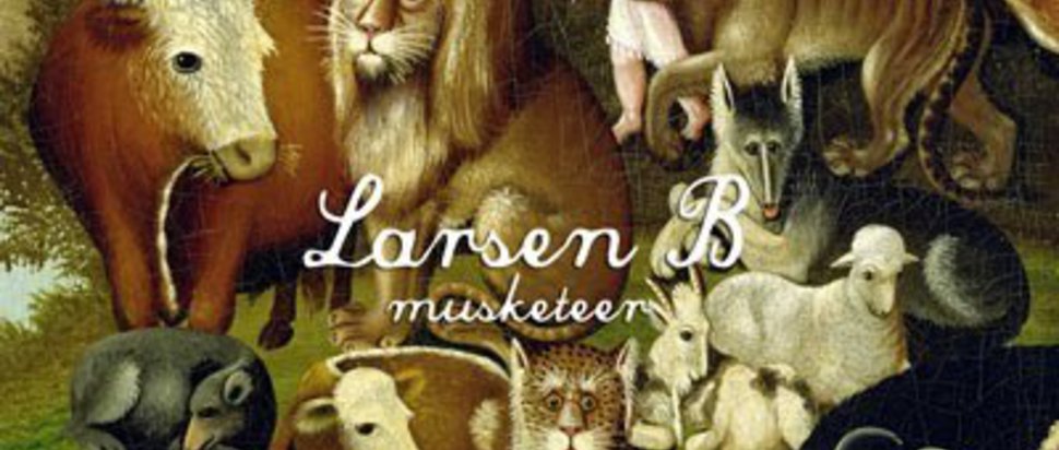 Larsen B – Musketeer | The Skinny