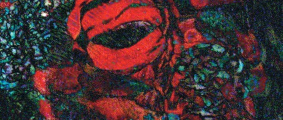 Warpaint – The Fool | The Skinny