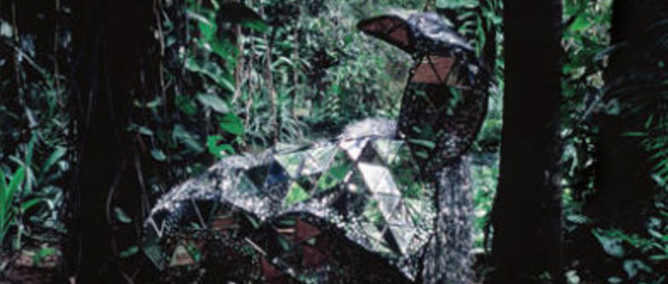 CSS - Donkey | The Skinny