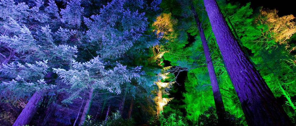 Go Away! The Enchanted Forest, Perthshire | The Skinny
