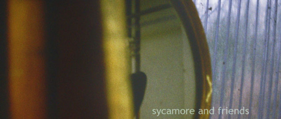 Sycamore – Sycamore and Friends | The Skinny