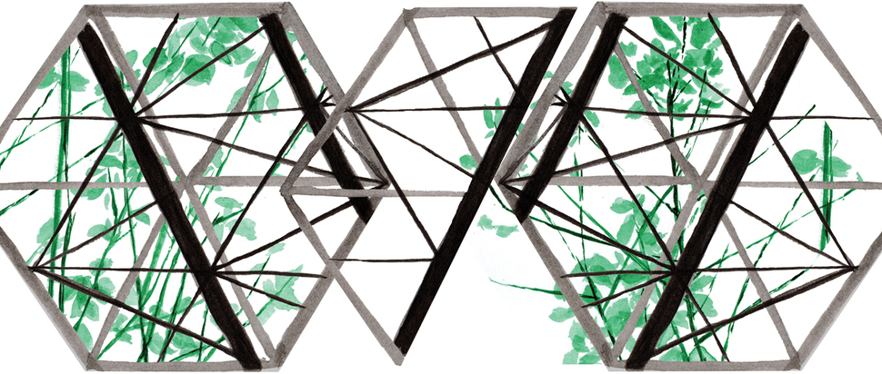 Pastures New: The Biospheric Project | Interview | The Skinny
