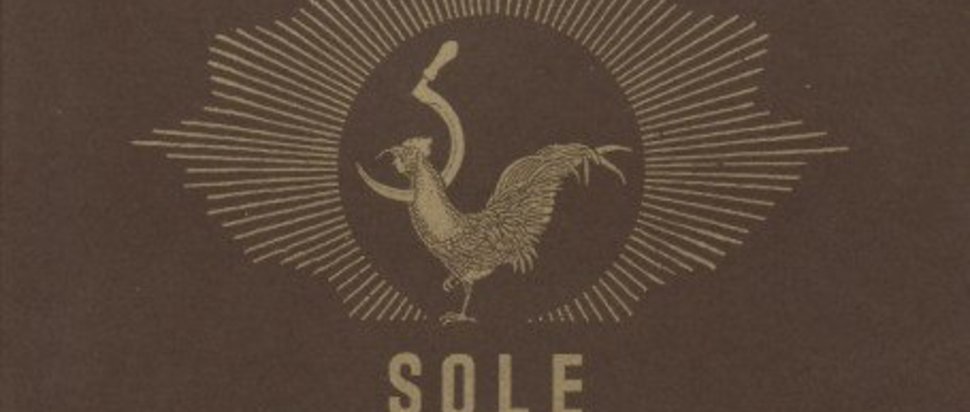 sole and the Skyrider Band: sole and the Skyrider Band – Album review
