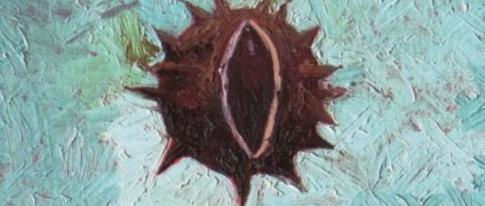 Kathryn Williams and Neill MacColl - Two | The Skinny